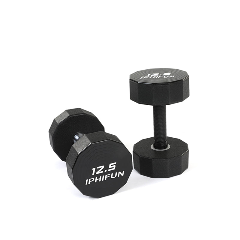 IPHIFUN- 十二邊形啞鈴(可訂製) Premium Urethane Dumbbells – Protato Health